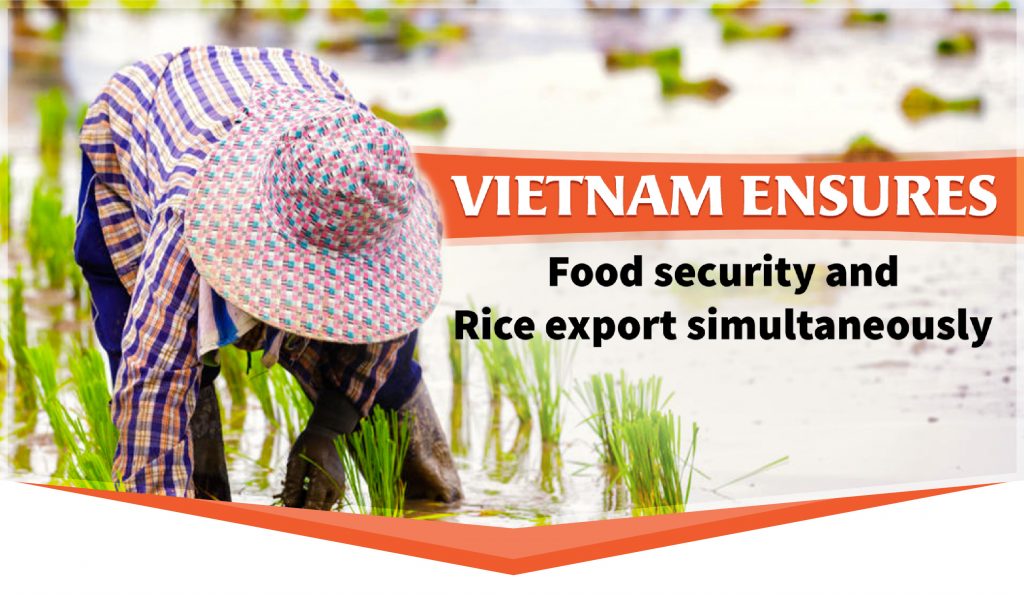 VIETNAM ENSURES FOOD SECURITY AND RICE EXPORT SIMULTANEOUSLY - TÔN ...