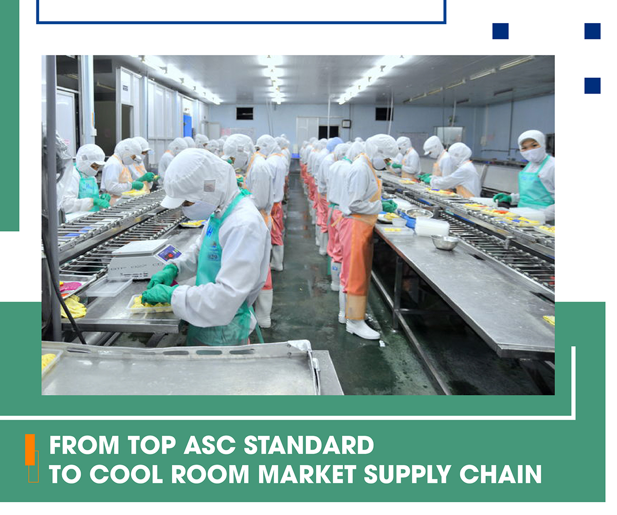 FROM TOP ASC STANDARD TO COOL ROOM MARKET SUPPLY CHAIN - TÔN COLORBOND